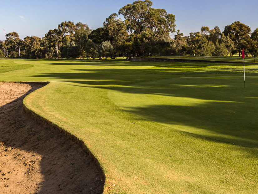 Bookings | Royal Park Golf Course