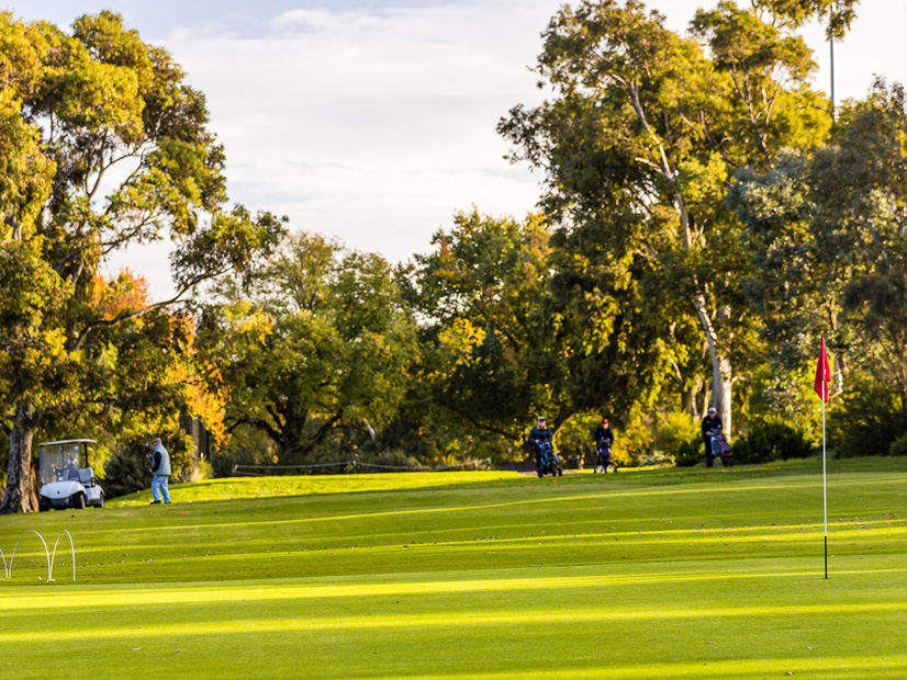 Opening hours | Royal Park Golf Course